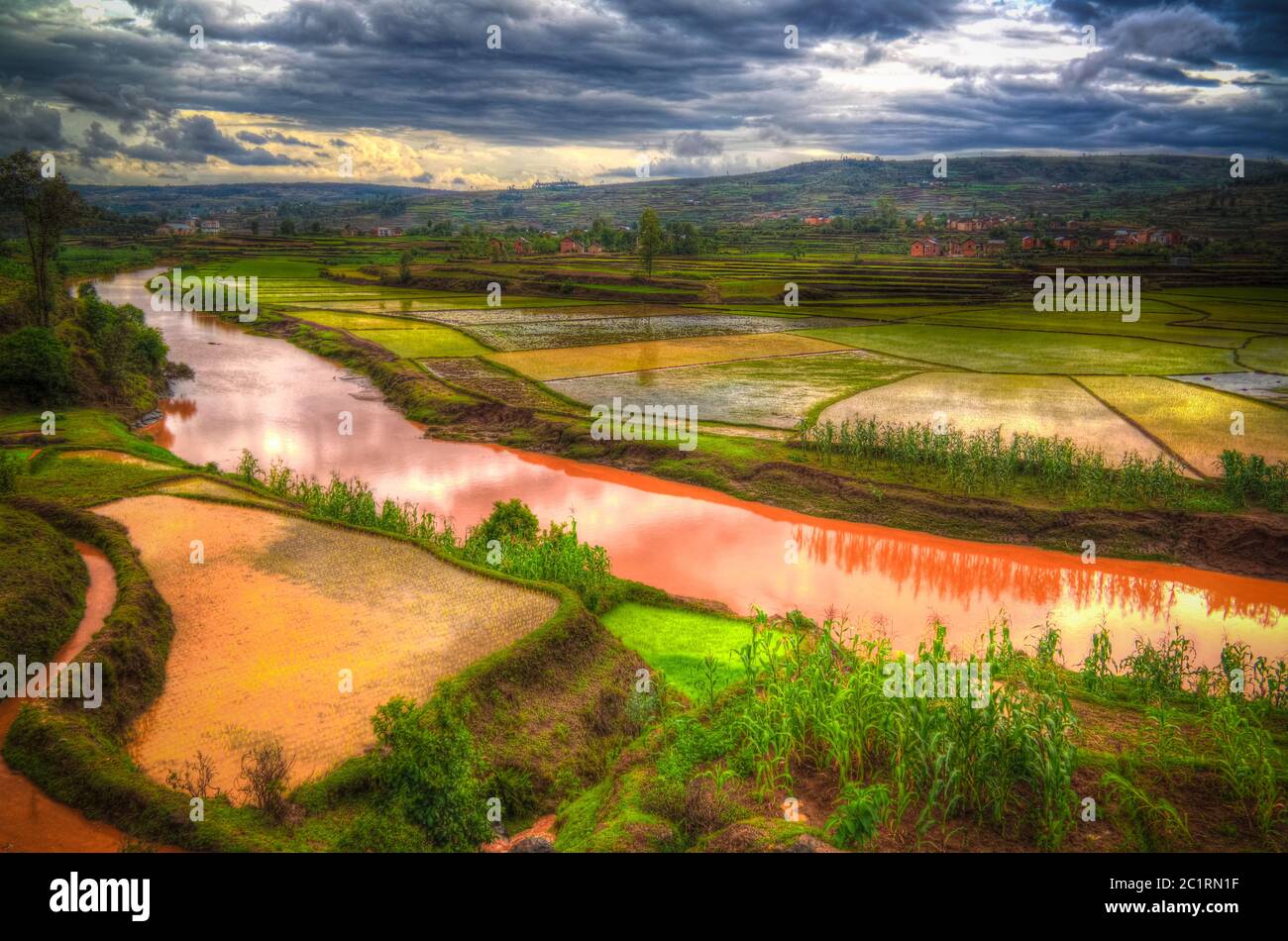 Landscape with the rice fields and Onive river at Antanifotsy ...