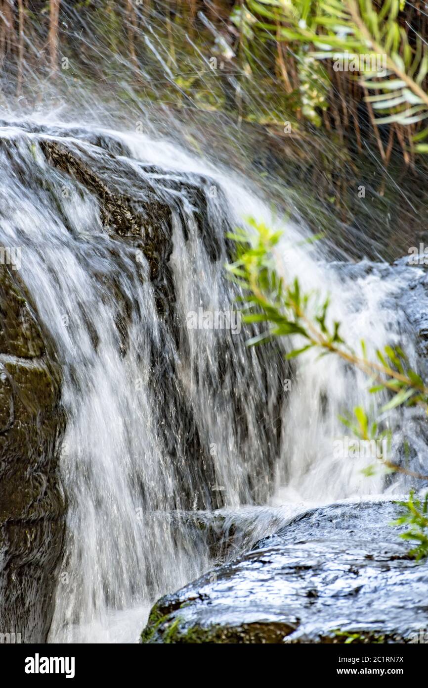 Waterfall forest rocks hi-res stock photography and images - Alamy
