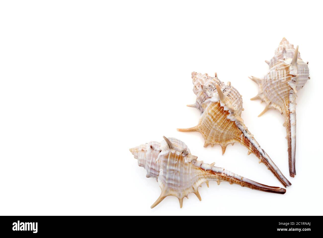 Dead sea background Cut Out Stock Images & Pictures - Alamy