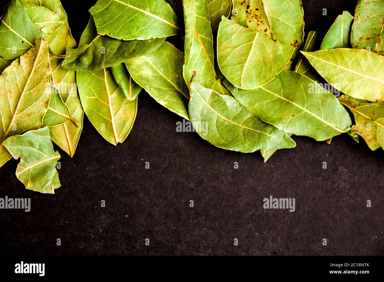Photo of closeup green texture of bay leaf on black background, top ...