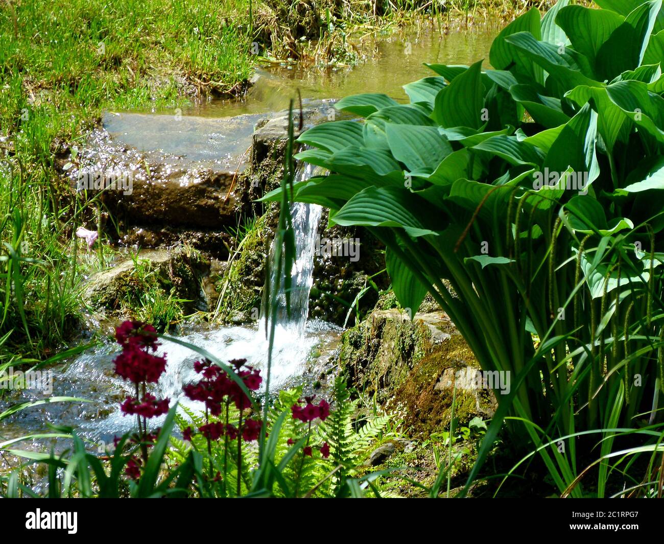 Stream idyllic hi-res stock photography and images - Alamy