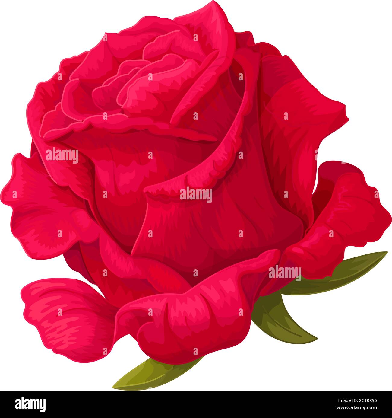 vector rose flower clip art on white isolated background Stock Vector ...