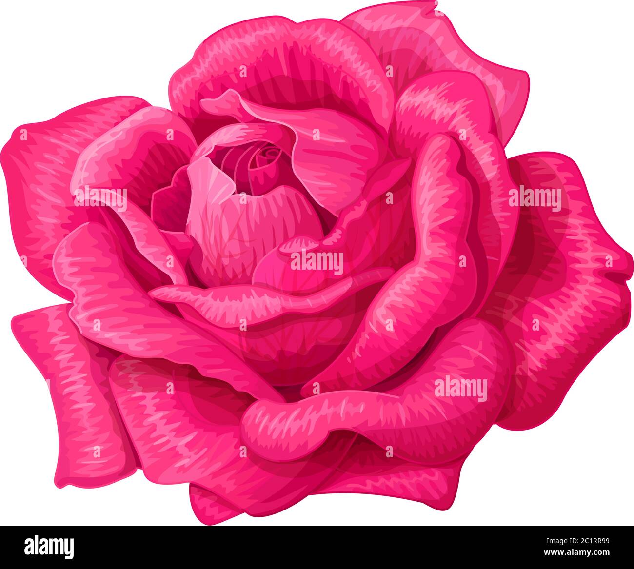 vector rose flower clip art on white isolated background Stock Vector ...