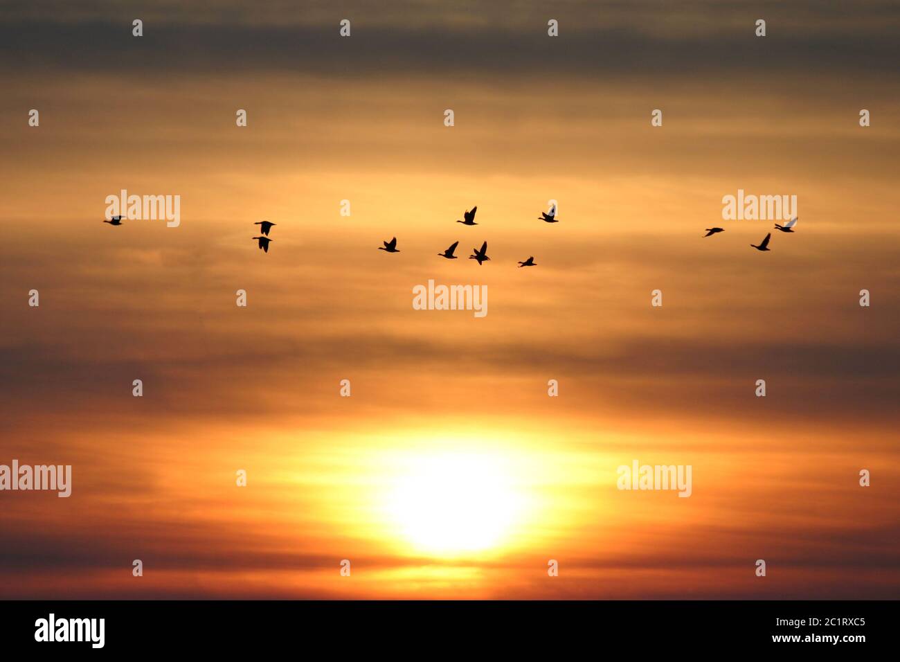 Flying into sun hi-res stock photography and images - Alamy