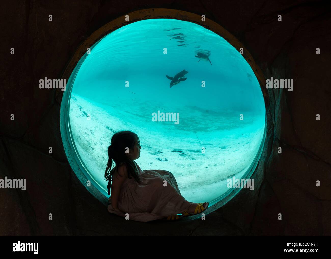 Underwater viewer hi-res stock photography and images - Alamy