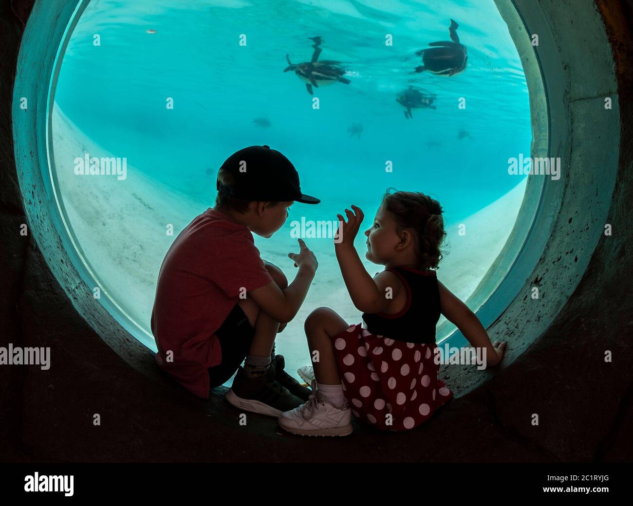 Almost underwater hi-res stock photography and images - Alamy