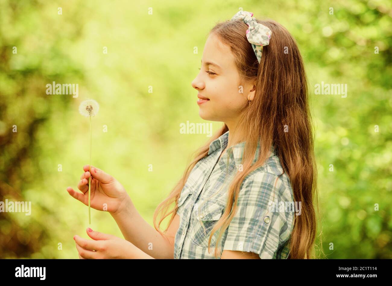 Celebrating summer. Dandelion full symbolism. Summertime fun. Folklore ...