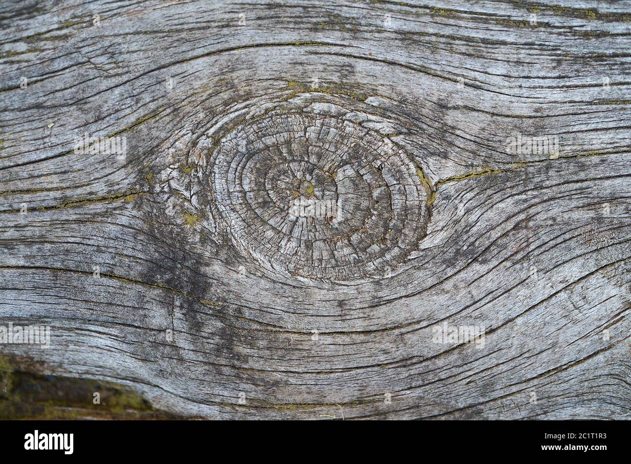 Texture of wood use surface hi-res stock photography and images - Alamy