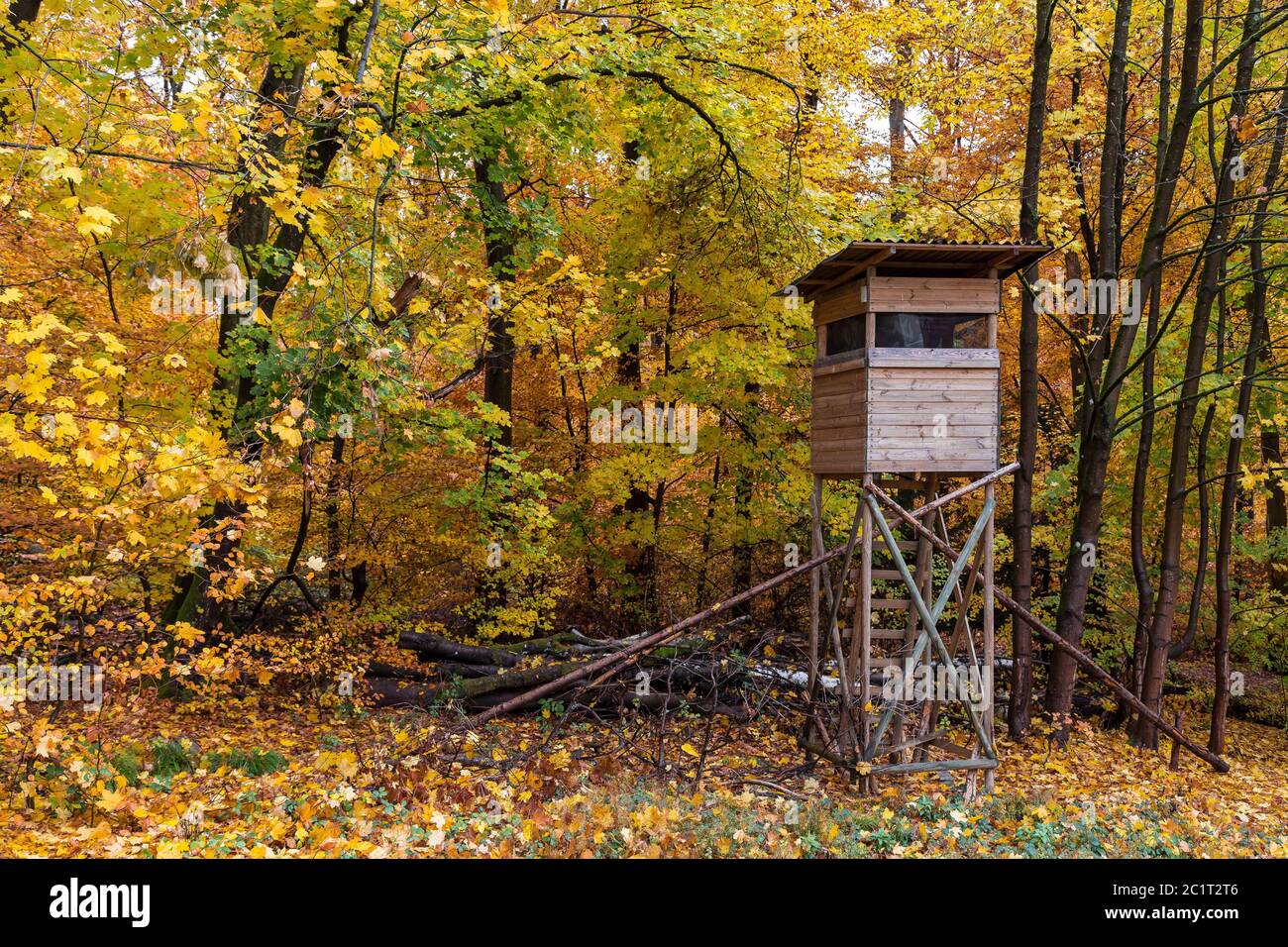 Raised blind in a forest for hunting Stock Photo - Alamy