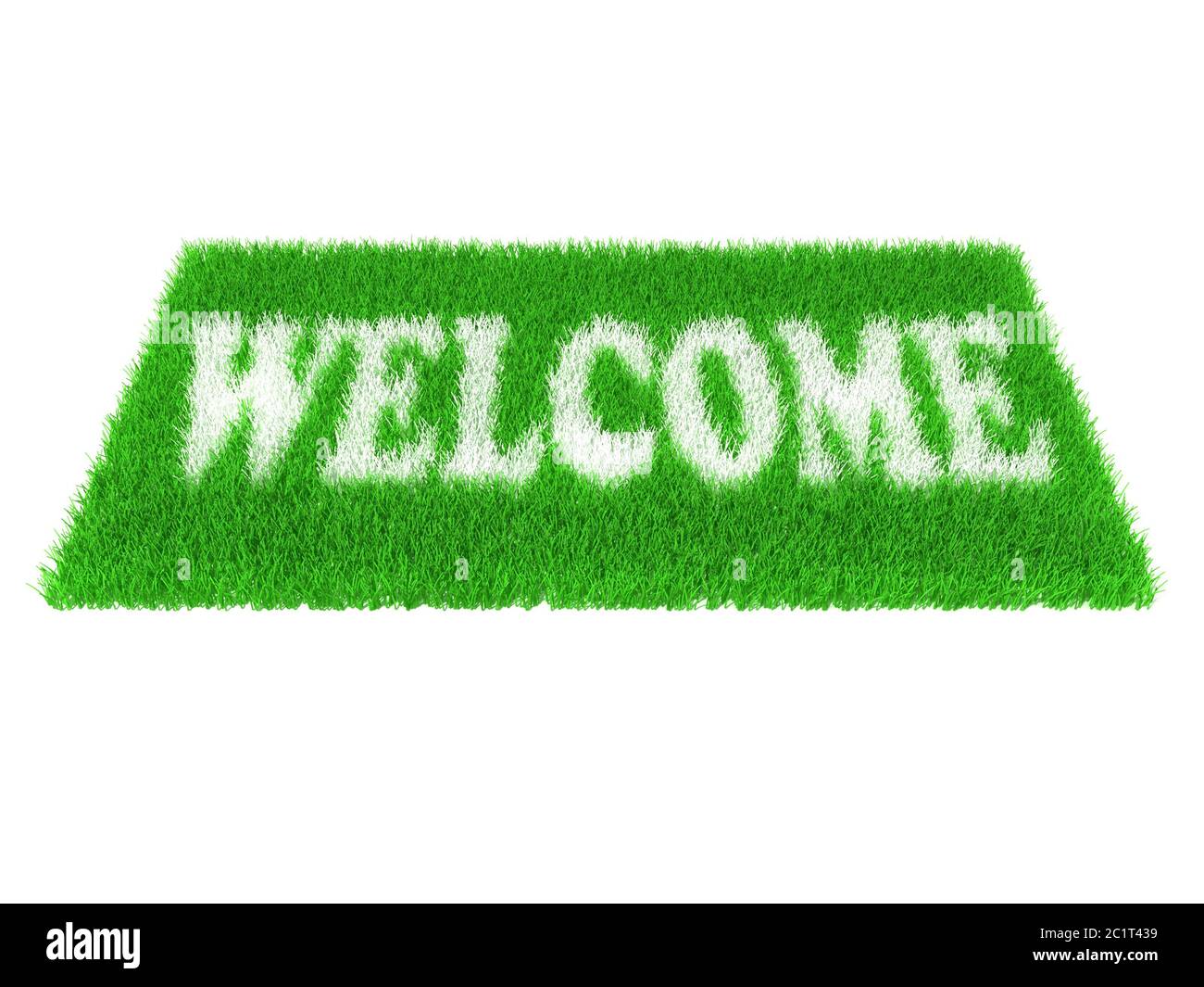 Doorstep plants Cut Out Stock Images & Pictures - Alamy