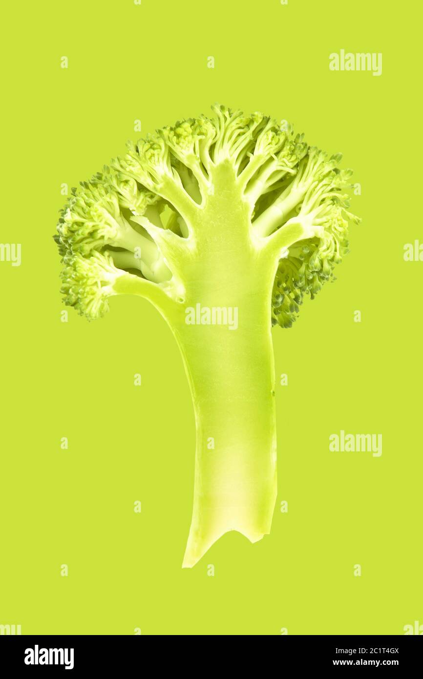 Broccoli slice isolated Stock Photo - Alamy