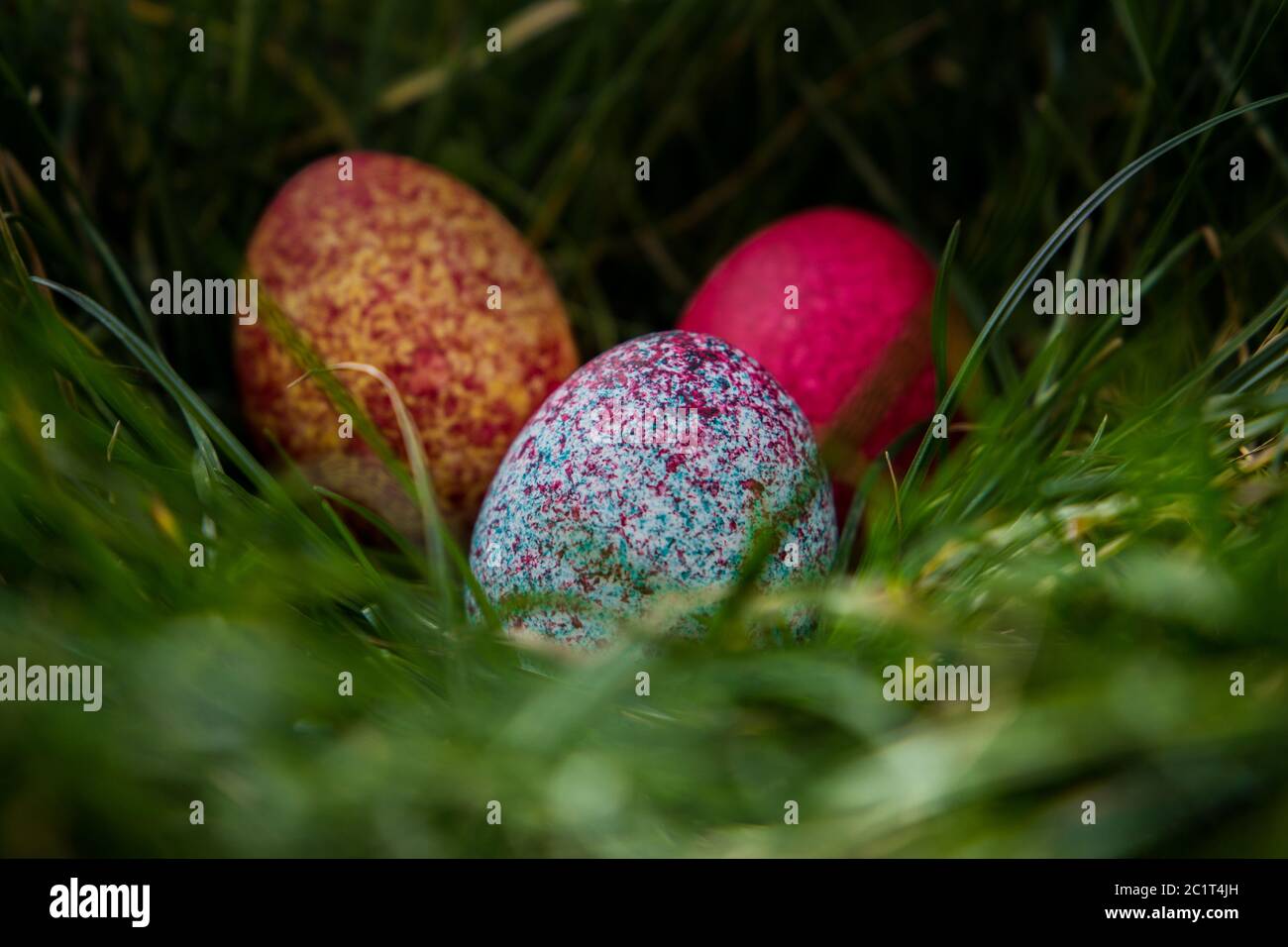 colorful easter eggs Stock Photo - Alamy