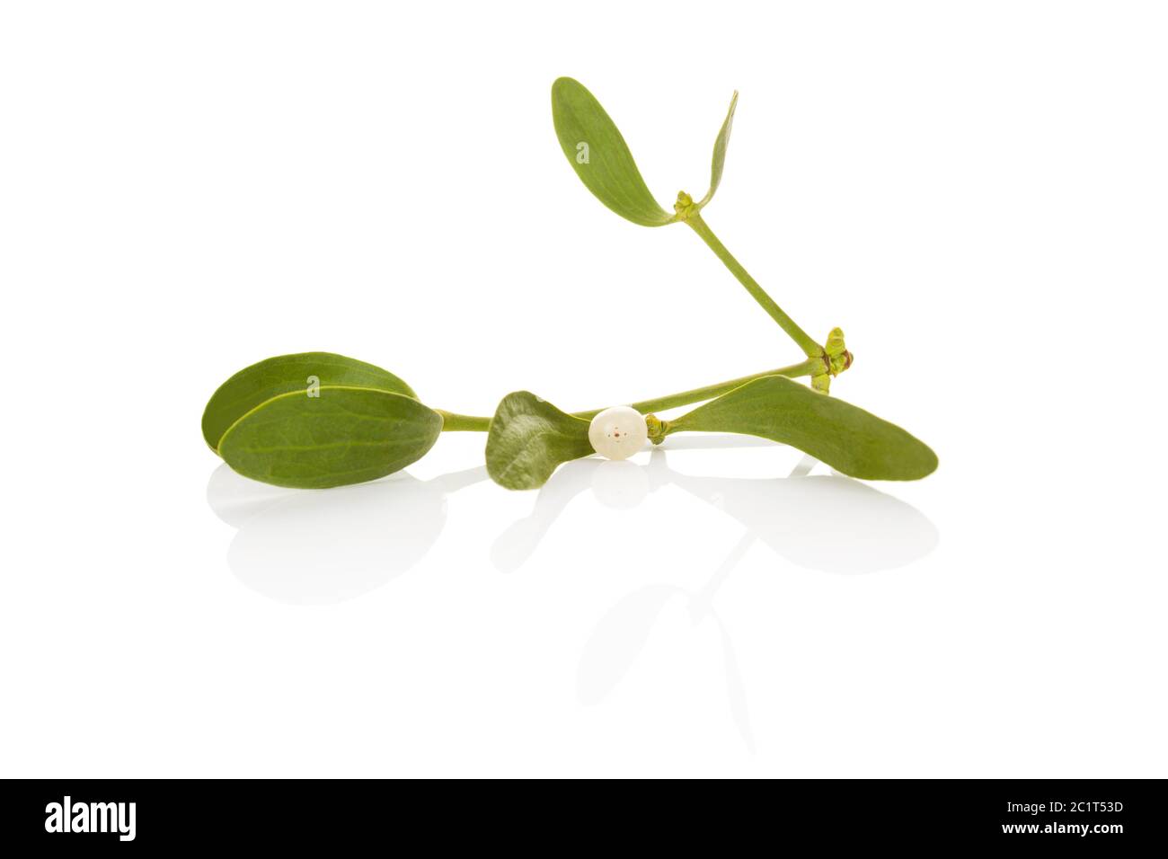 Planta medicinal medicinal Cut Out Stock Images & Pictures - Alamy