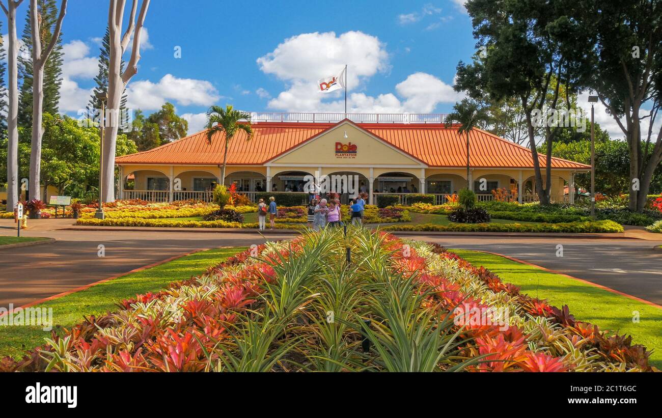 Dole plantation hi-res stock photography and images - Alamy