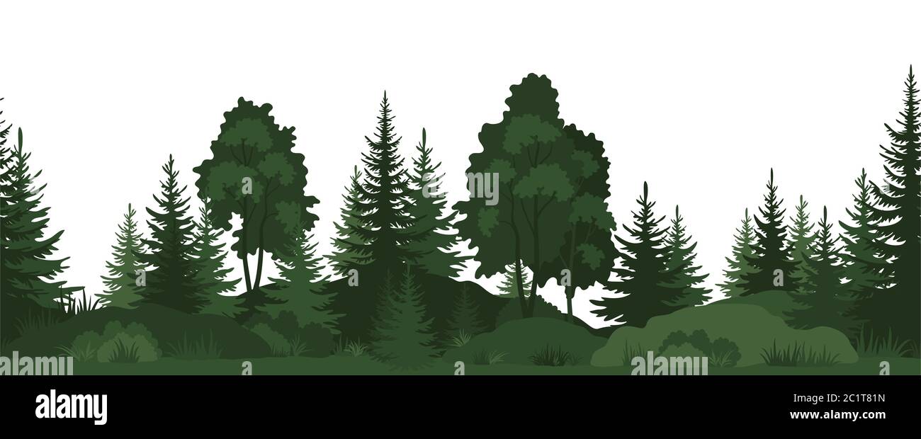 Seamless, Summer Forest Stock Photo - Alamy