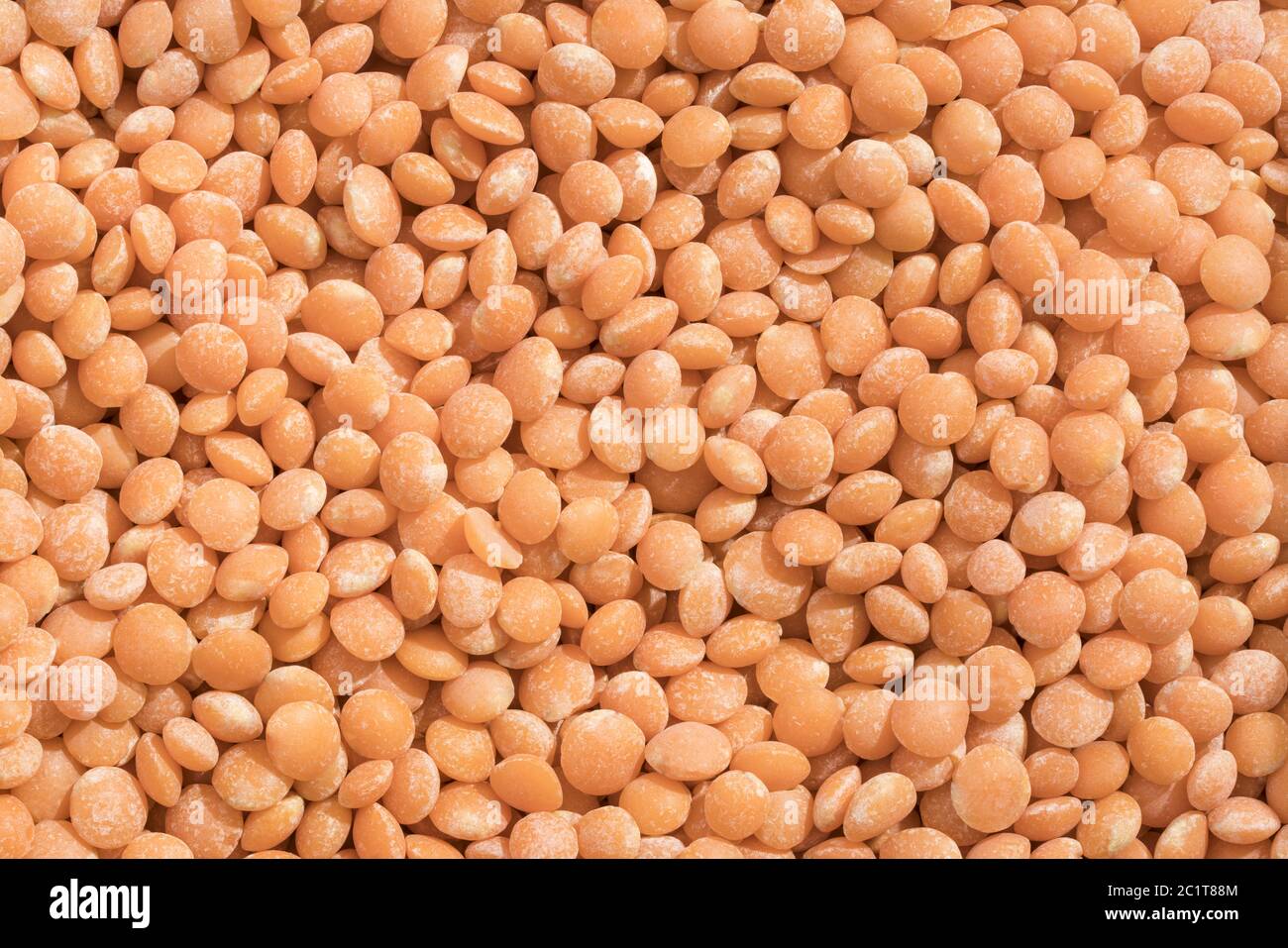 Lentil plant grow hi-res stock photography and images - Alamy