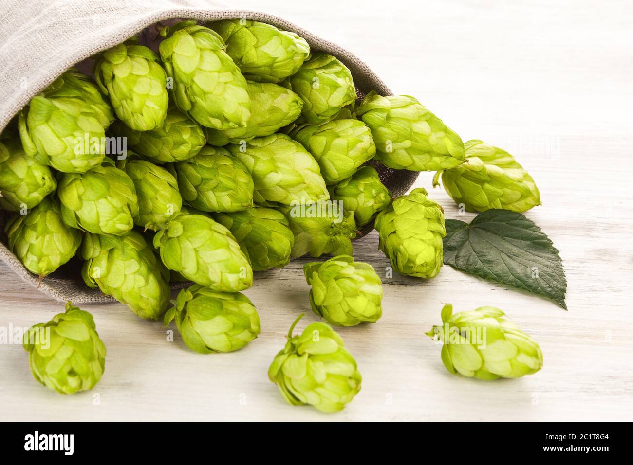 Hop fruits hi-res stock photography and images - Alamy