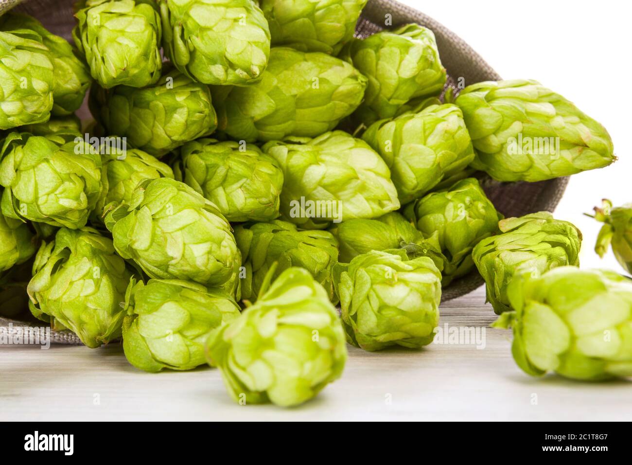 Hop cones hi-res stock photography and images - Alamy