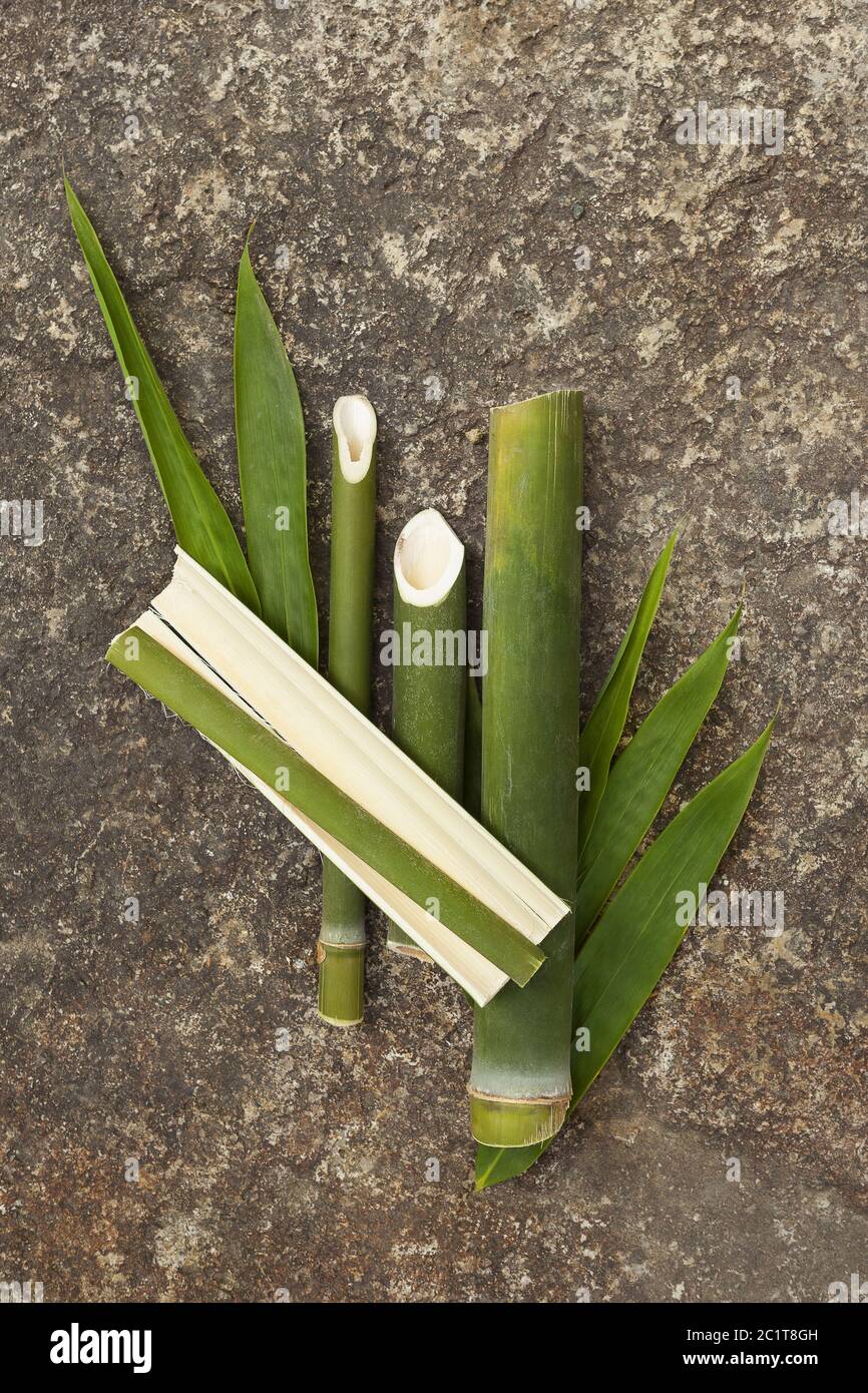 Bamboo sticks pattern leaves hi-res stock photography and images - Alamy