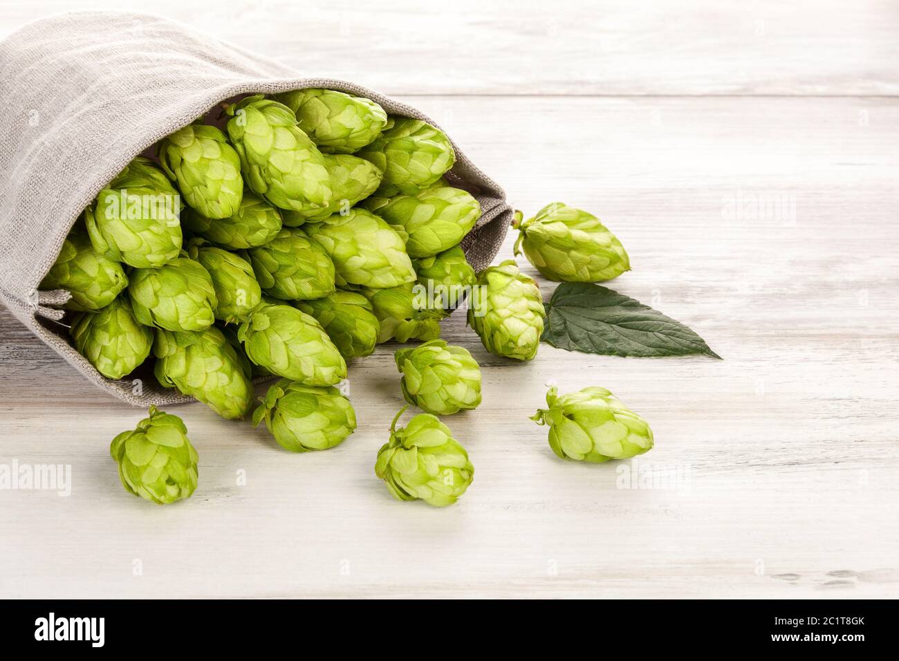 Hop fruits hi-res stock photography and images - Alamy