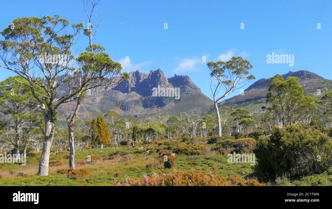 view of mt ossa, tasmania's highest mountain, from the overland track ...