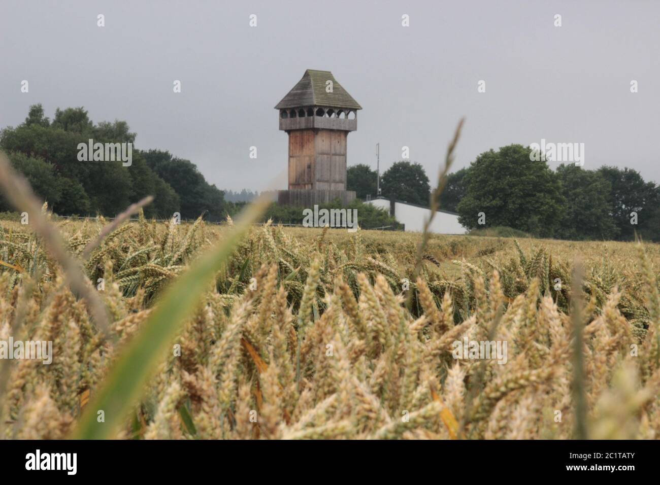 A wooden castle in the middle of a cornfield located in KÃ¼ntrop ...