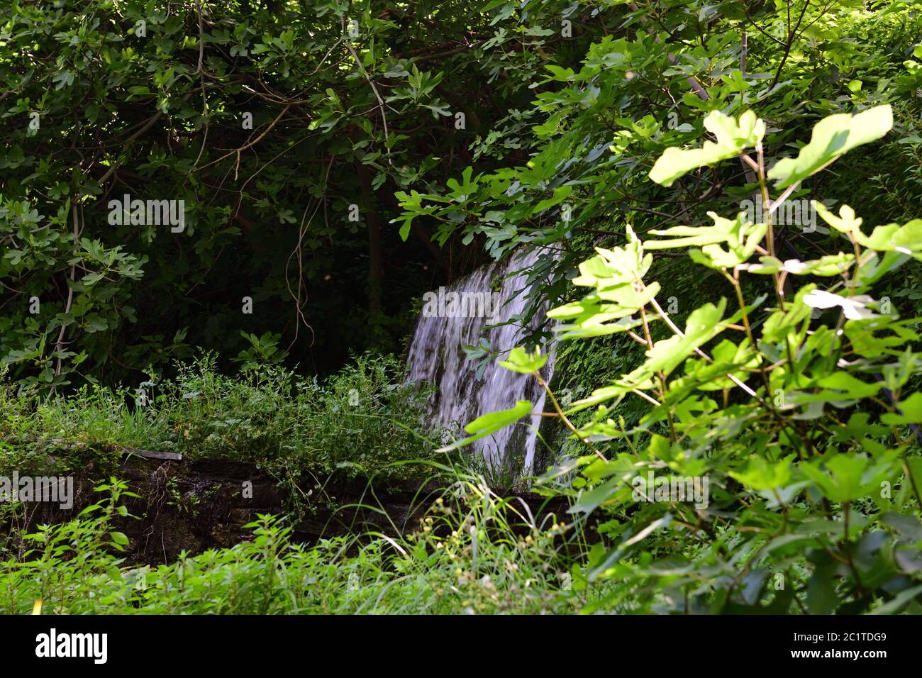 Waterfalls in Argiroupoli Lappa on Crete, Greece Stock Photo - Alamy