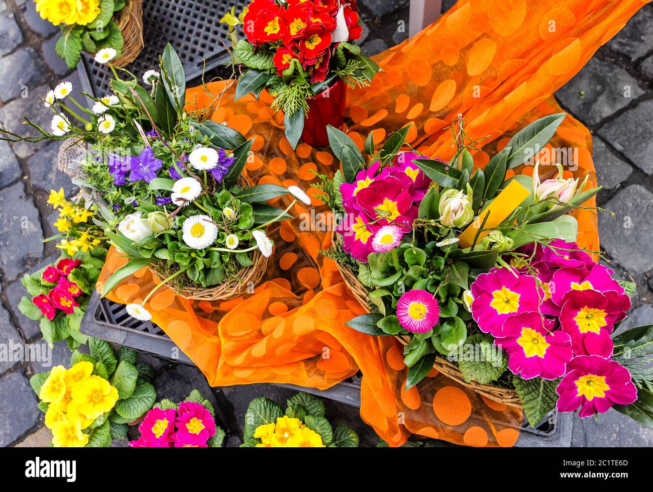 Colorful spring hi-res stock photography and images - Alamy