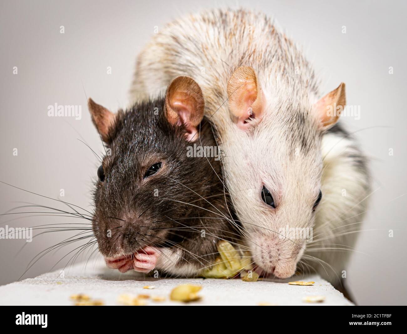 Gas concrete block hi-res stock photography and images - Alamy