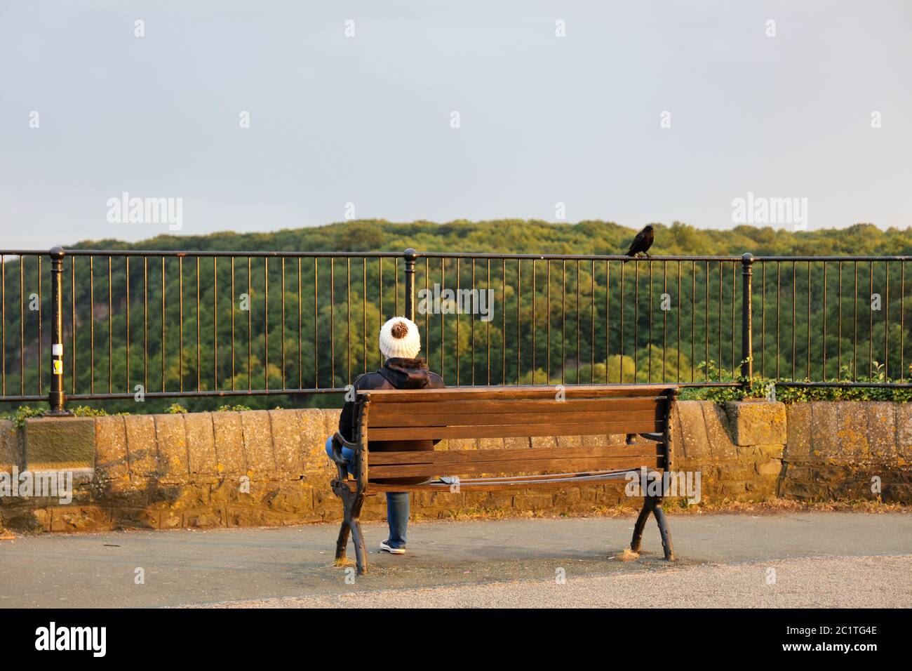 Woman Sitting on the bench with a crow on the railing in front of the ...