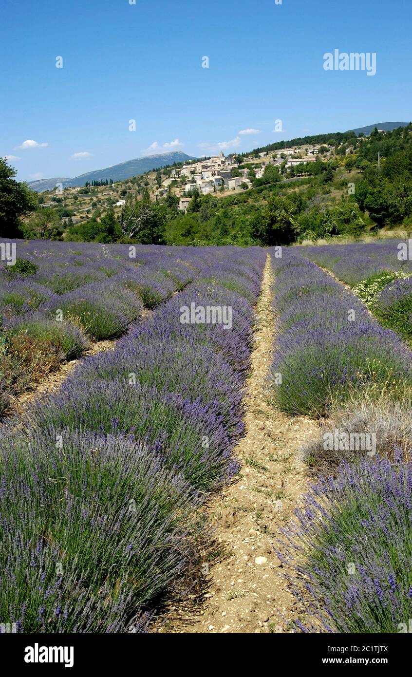 Aurel village, Vaucluse department, Provence-Alpes-Côte d'Azur, France ...