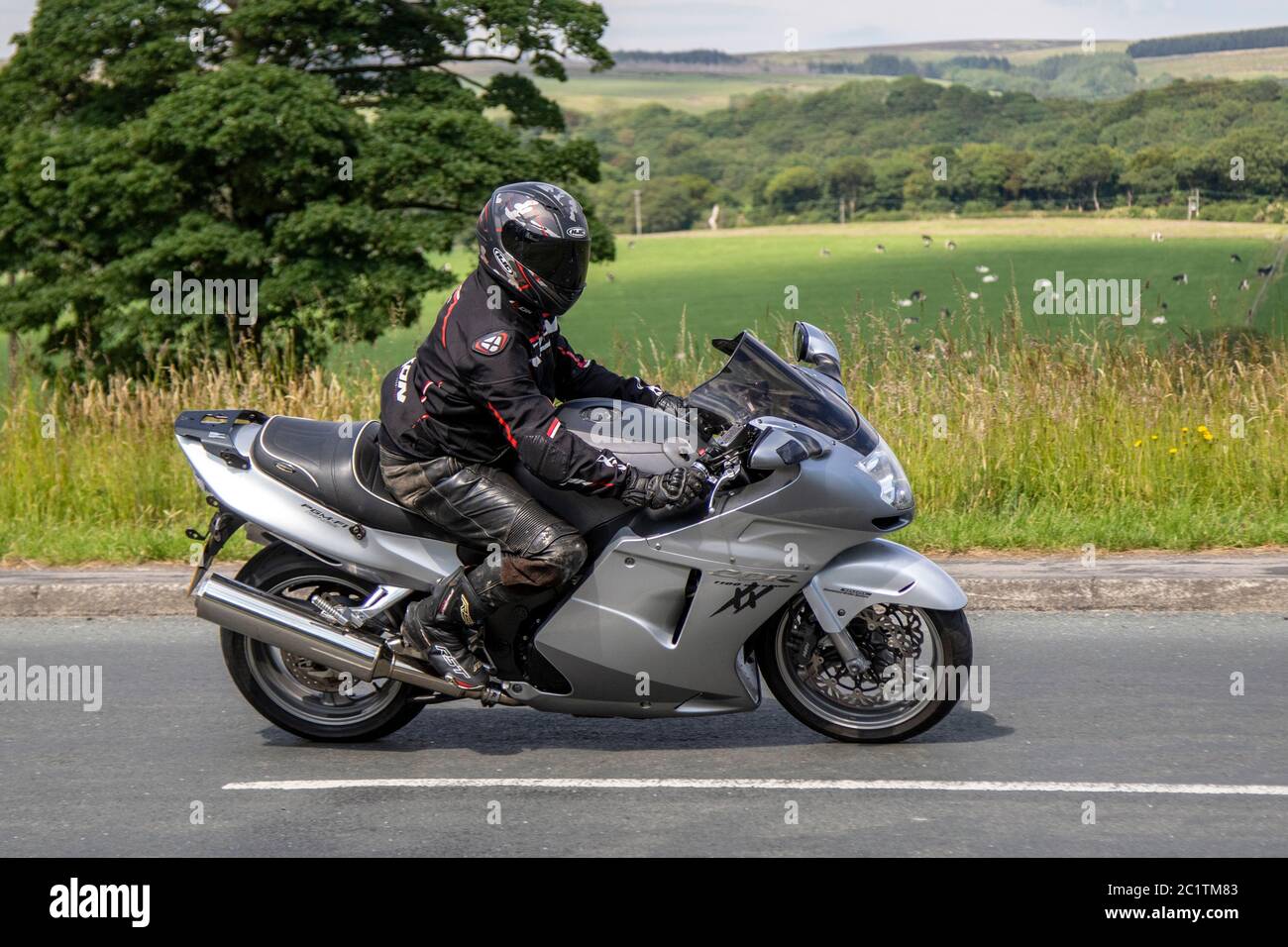 Honda Blackbird Motorcycle
