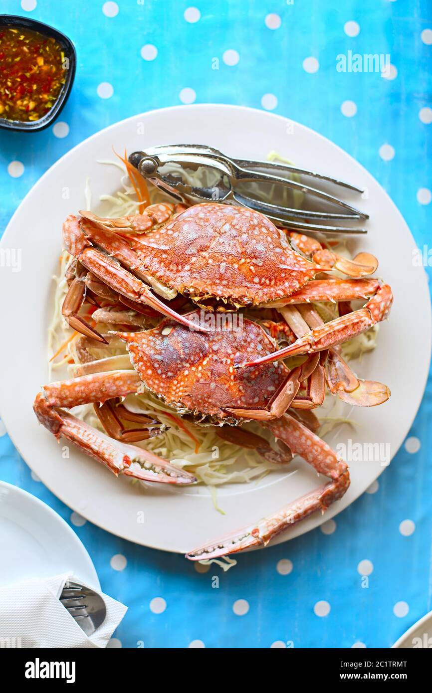 Two freshly cooked crabs on the white plate serviced with white cabbage ...