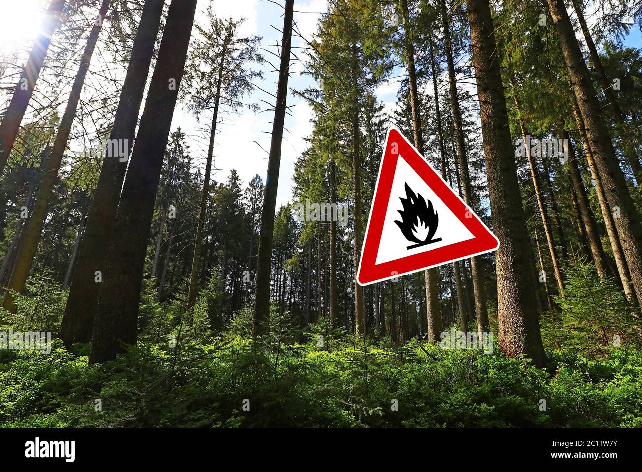 Beware of forest fires in dry weather. Fire hazard in summer in forest ...