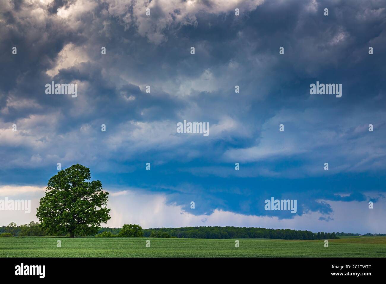Supercell storm clouds with wall cloud and intense rain Stock Photo - Alamy