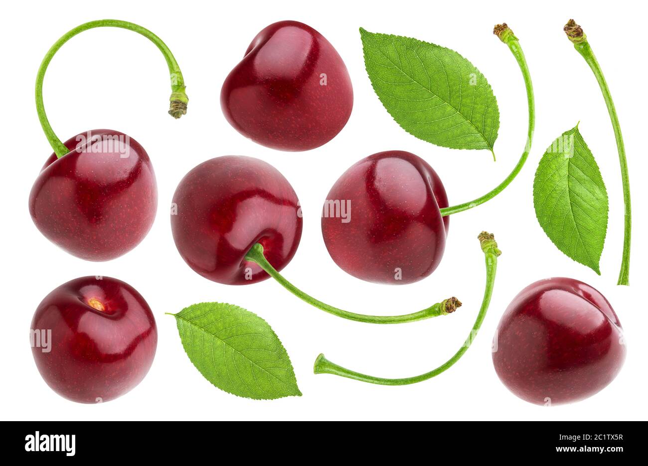 Cherry isolated on white background Stock Photo - Alamy