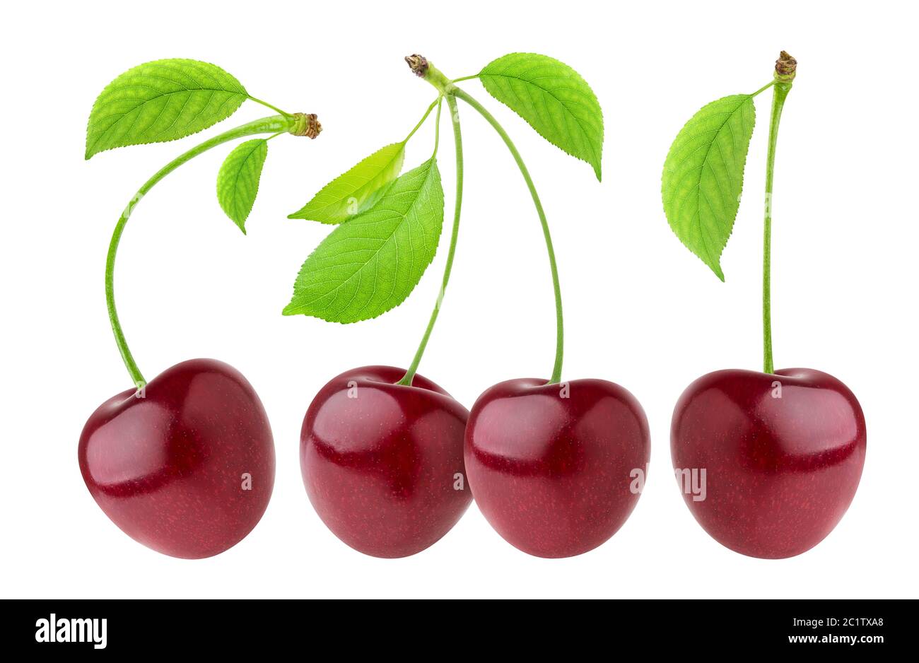Cherry isolated on white background Stock Photo - Alamy