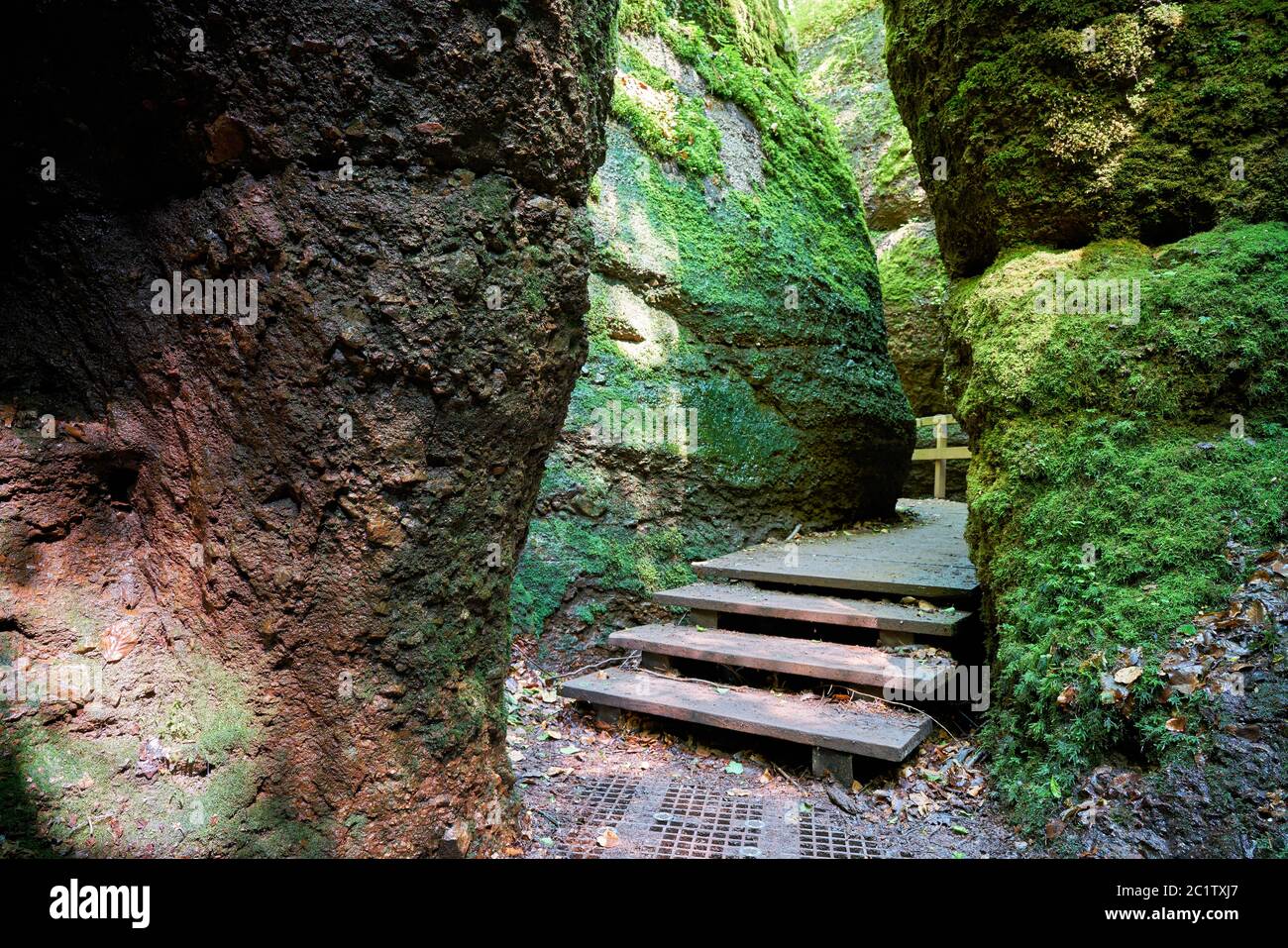 Hiking Trail through the Dragon Gorge at the foot of the Wartburg near ...