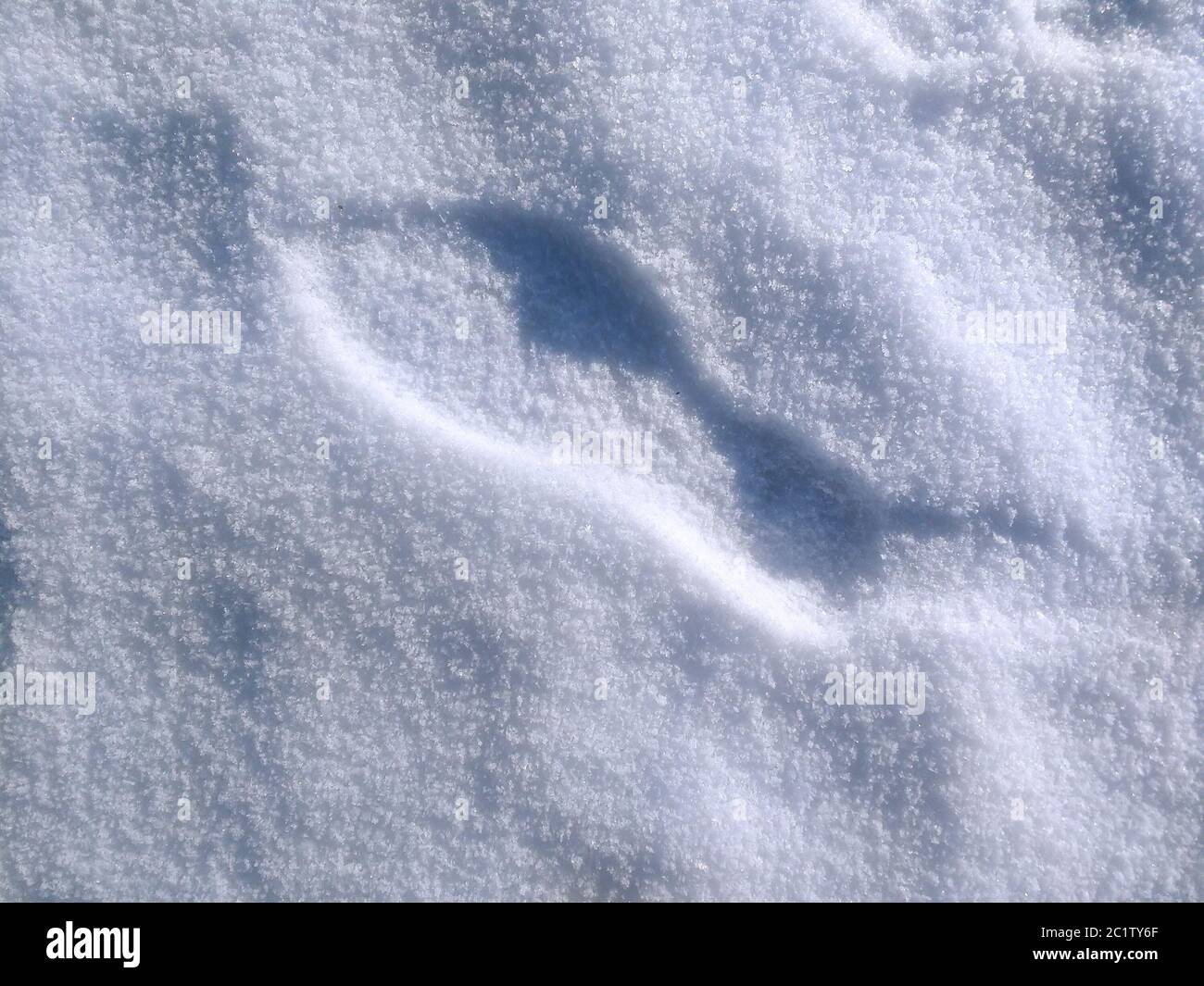Snow shoe print. Winter in Poland. Shoe tracks Stock Photo - Alamy