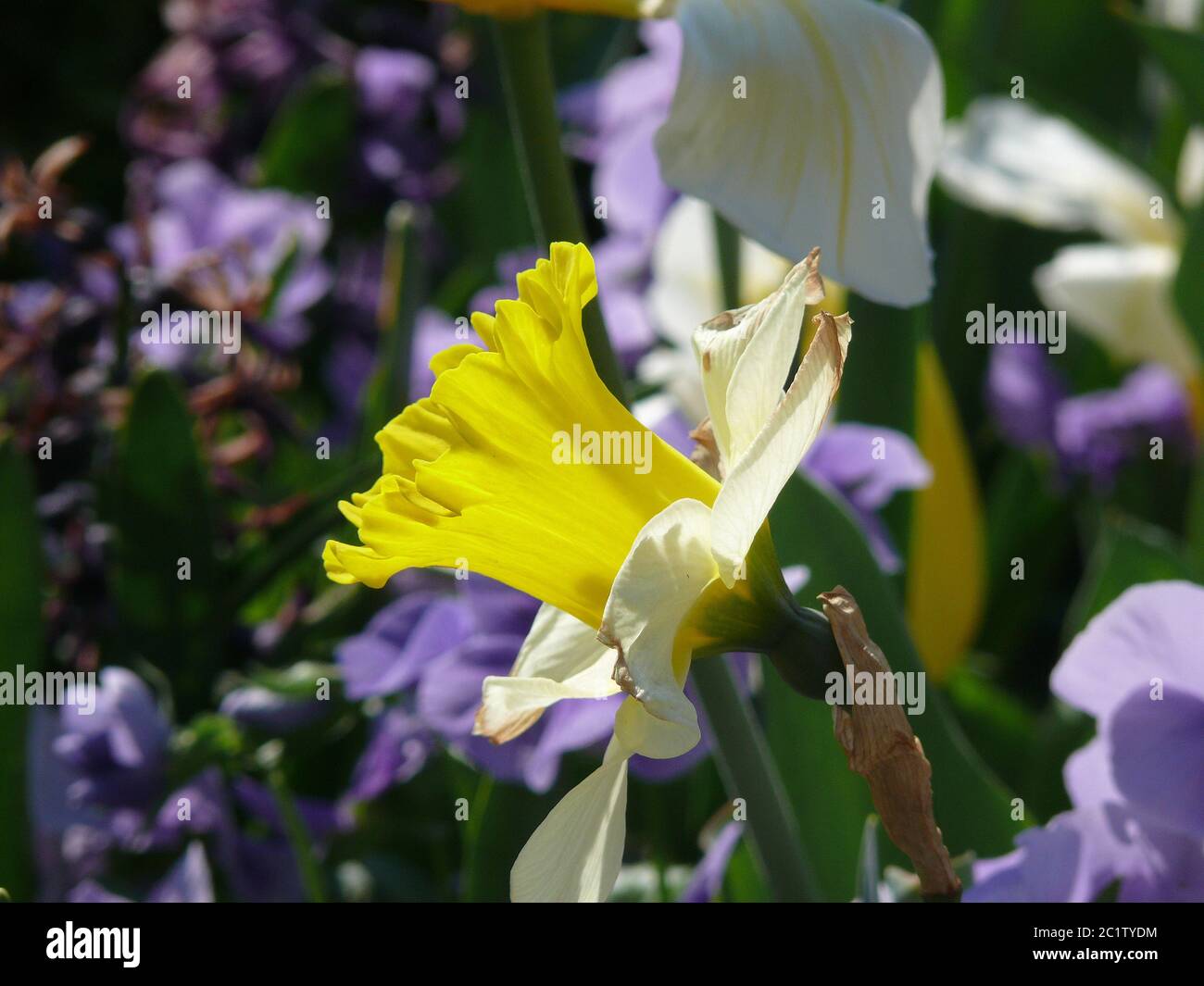 Easter bells hi-res stock photography and images - Alamy