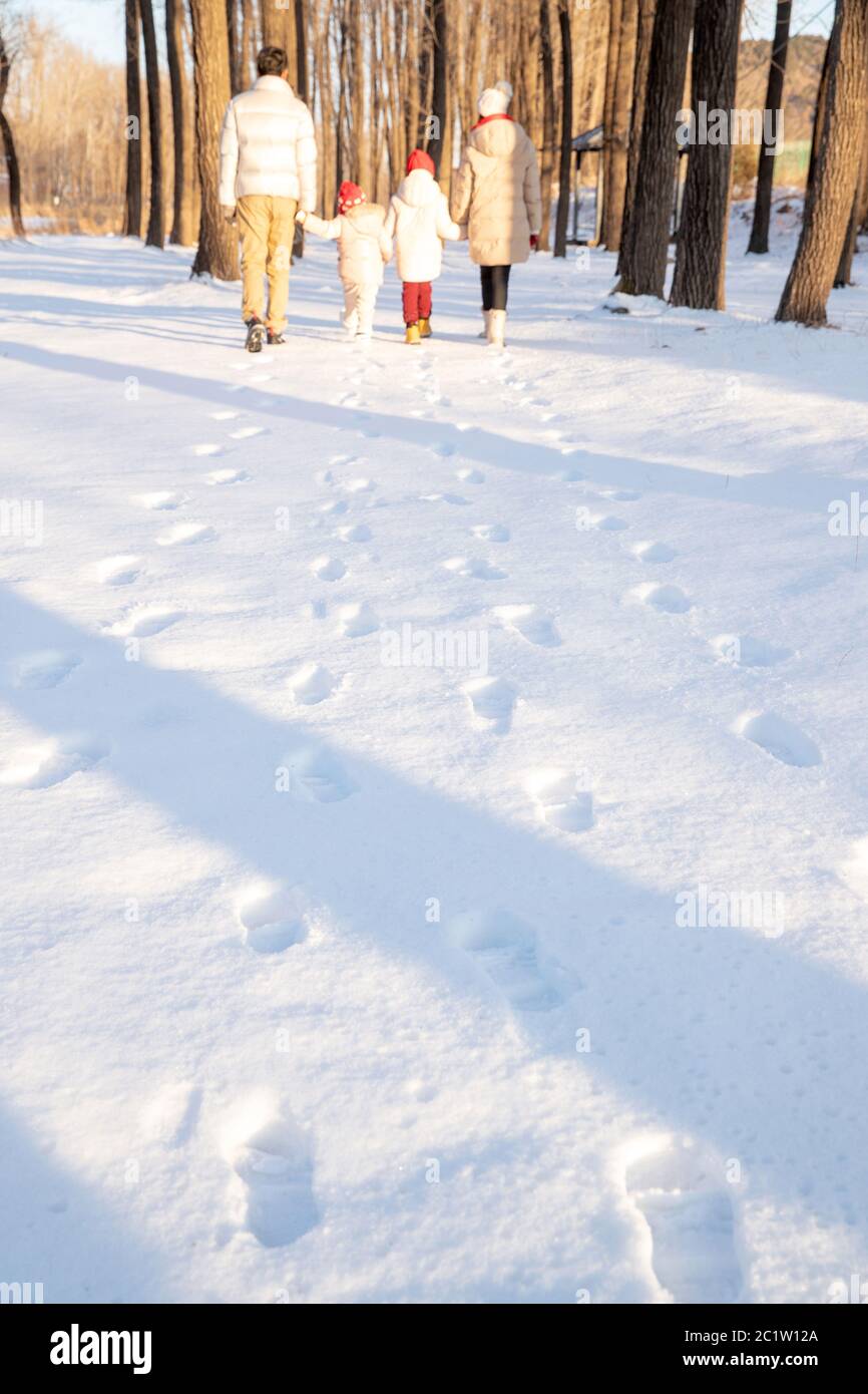 Mother and daughter walking in the snow holding hands hi-res stock ...