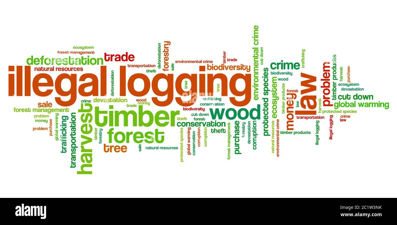 Illegal logging environmental issues and concepts word cloud ...