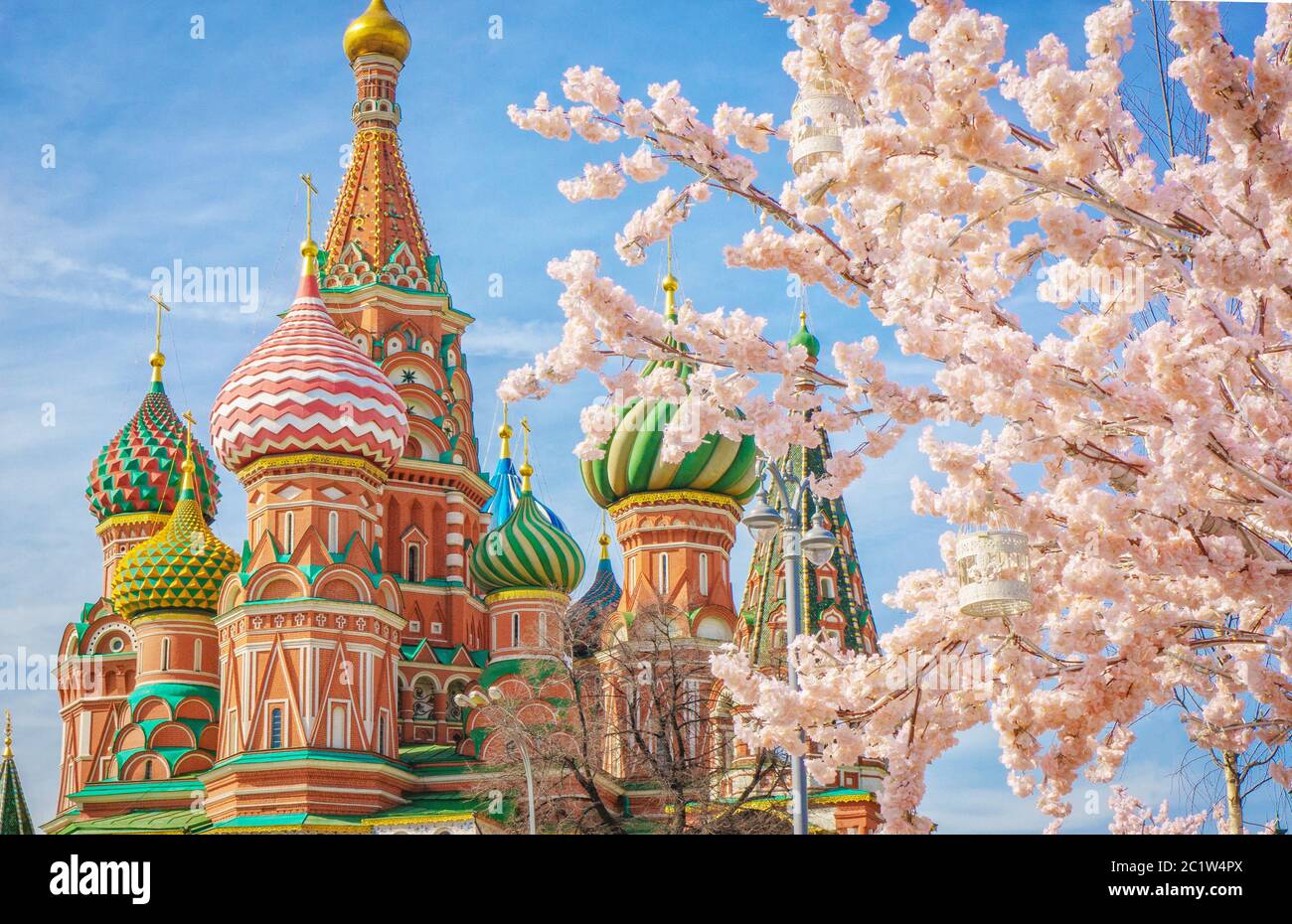 Moscow and St. Basil Cathedral at spring day through flowering tree ...