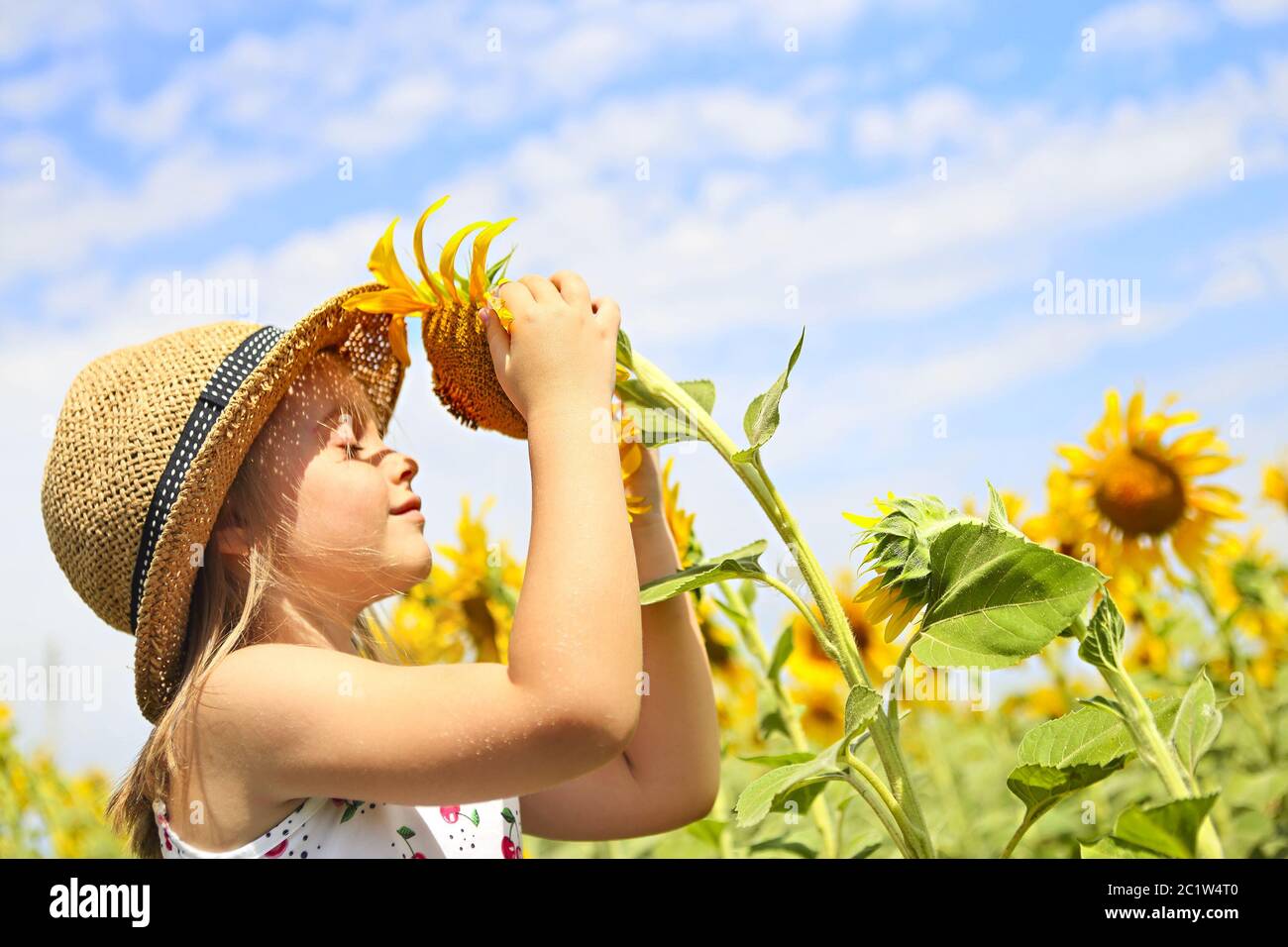 Children sun fun play flower field hi-res stock photography and images ...