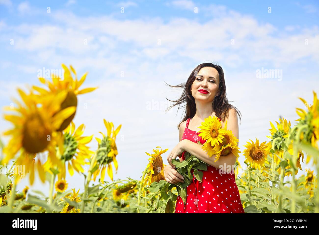 Pretty brunette woman in sunflower field Stock Photo - Alamy