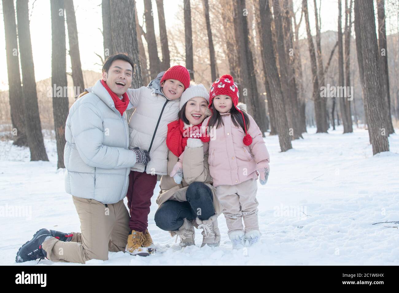 Happy family playing in the snow Stock Photo - Alamy