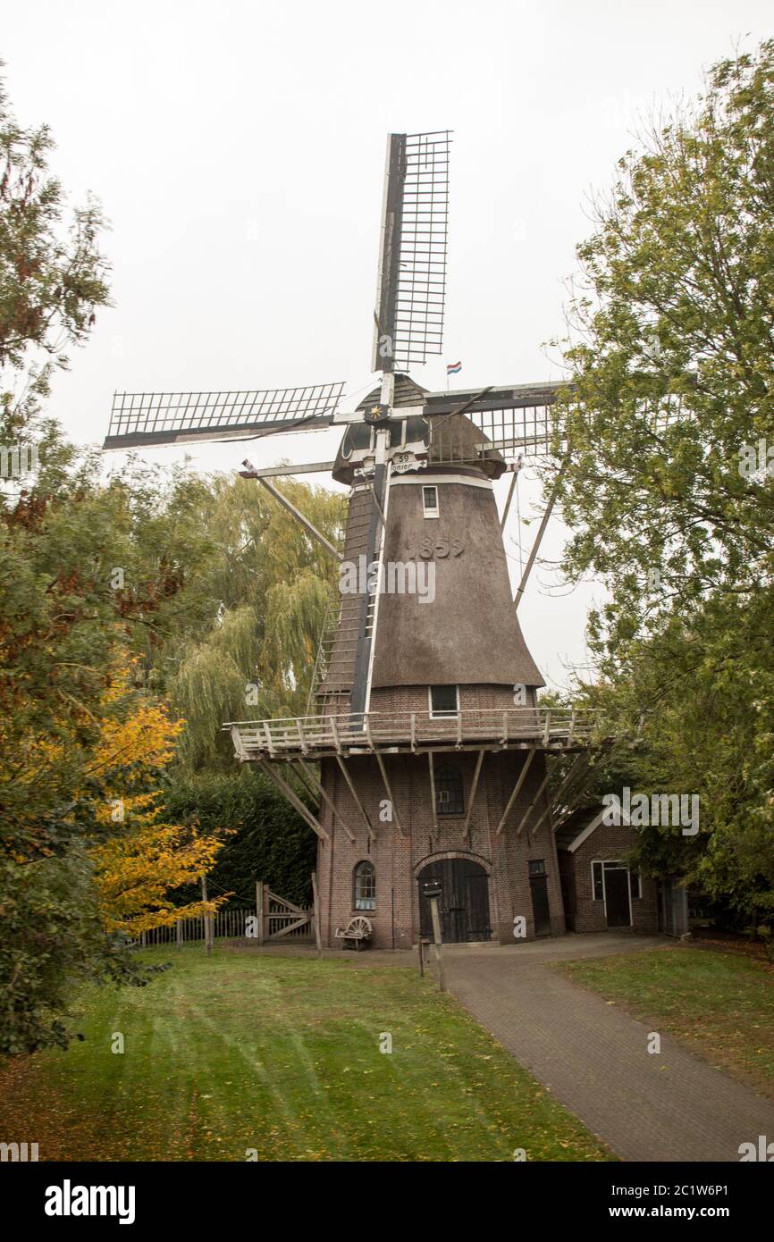 Dutch windmill in between trees Stock Photo - Alamy