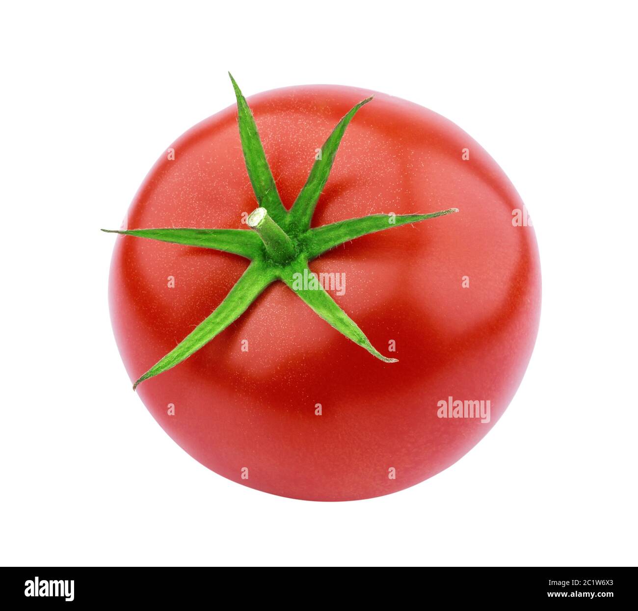 One tomato isolated isolated on white background Stock Photo - Alamy