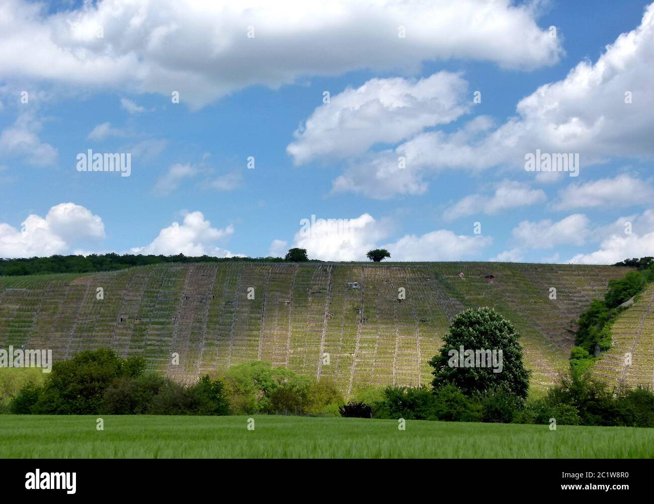 South German landscape with fields and vineyard under beautiful cloud ...