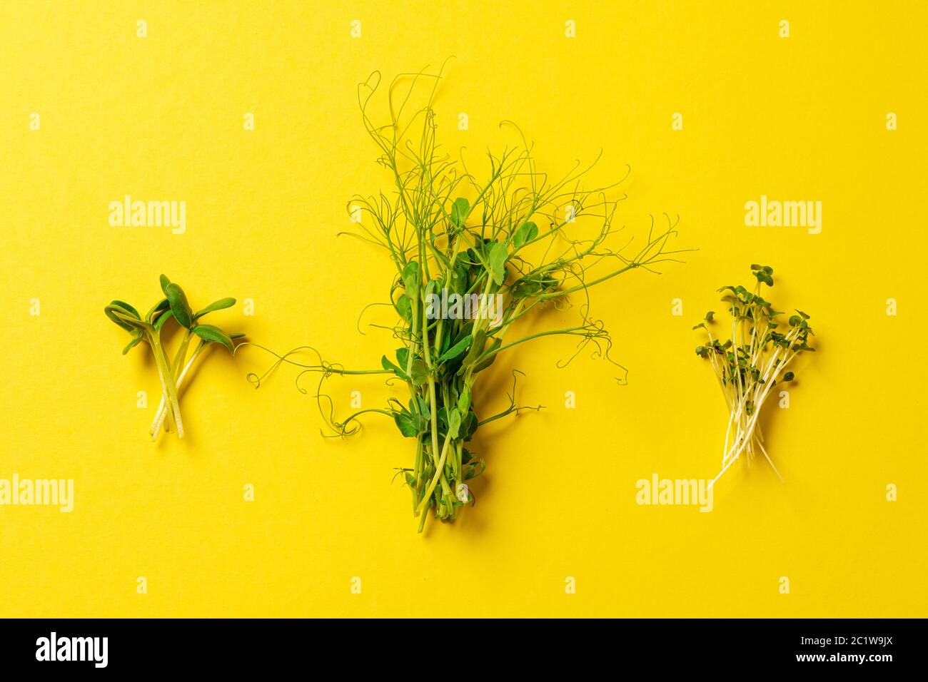 Top view of little bunch of micro greens on paper background Stock ...